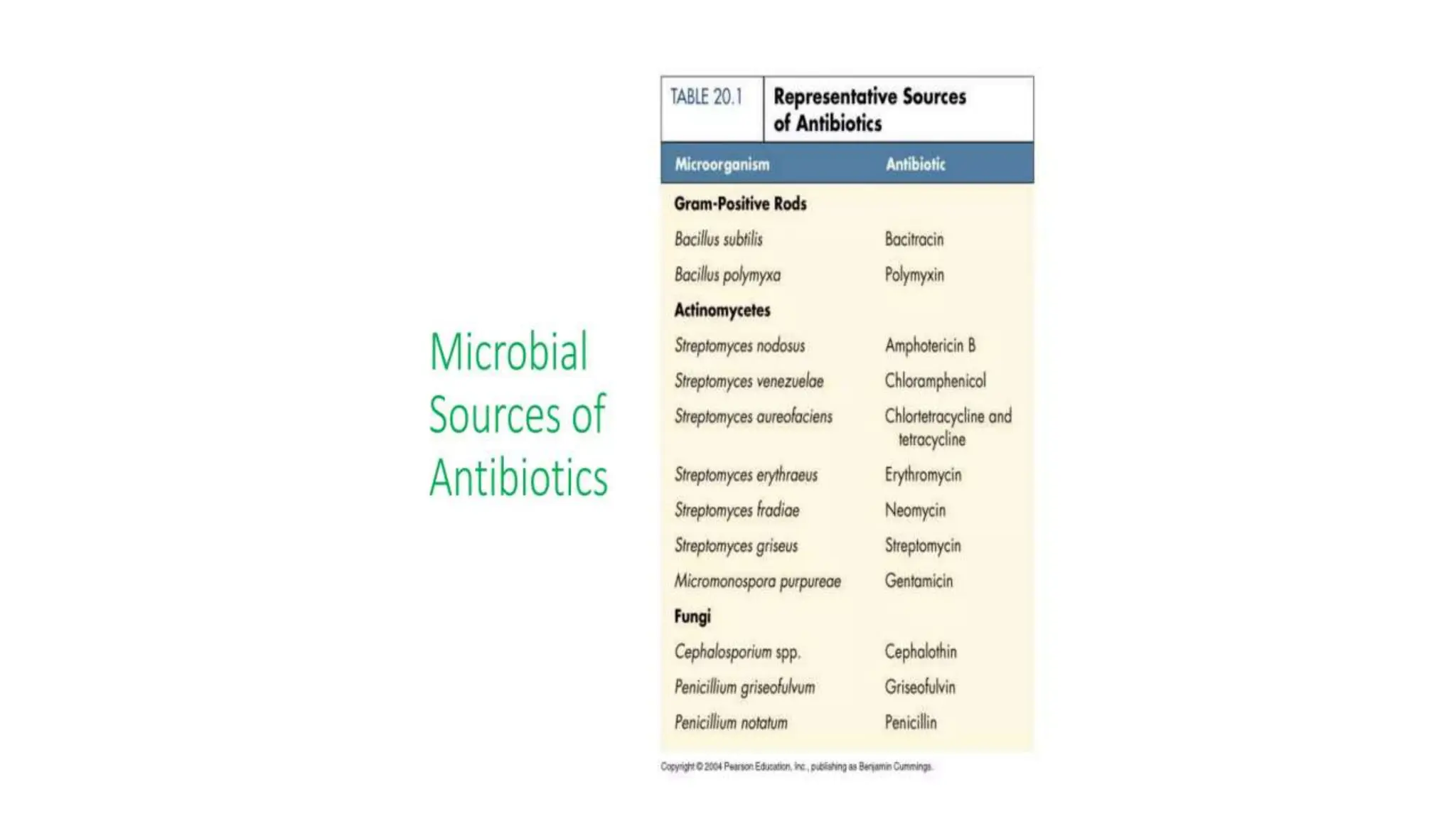 Antibiotic production. Production of Antibiotics | PPTX