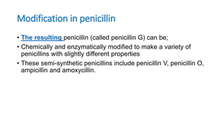 Antibiotic production. Production of Antibiotics | PPTX
