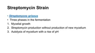 Antibiotic production. Production of Antibiotics | PPTX