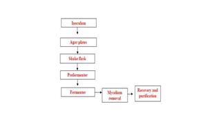 Antibiotic production. Production of Antibiotics | PPTX