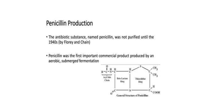 Antibiotic production. Production of Antibiotics | PPTX
