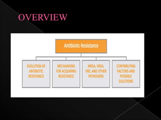 Antibiotic resistance | PPT
