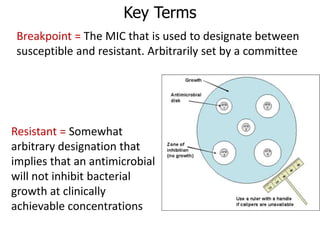 Antibiotic resistance | PPTX