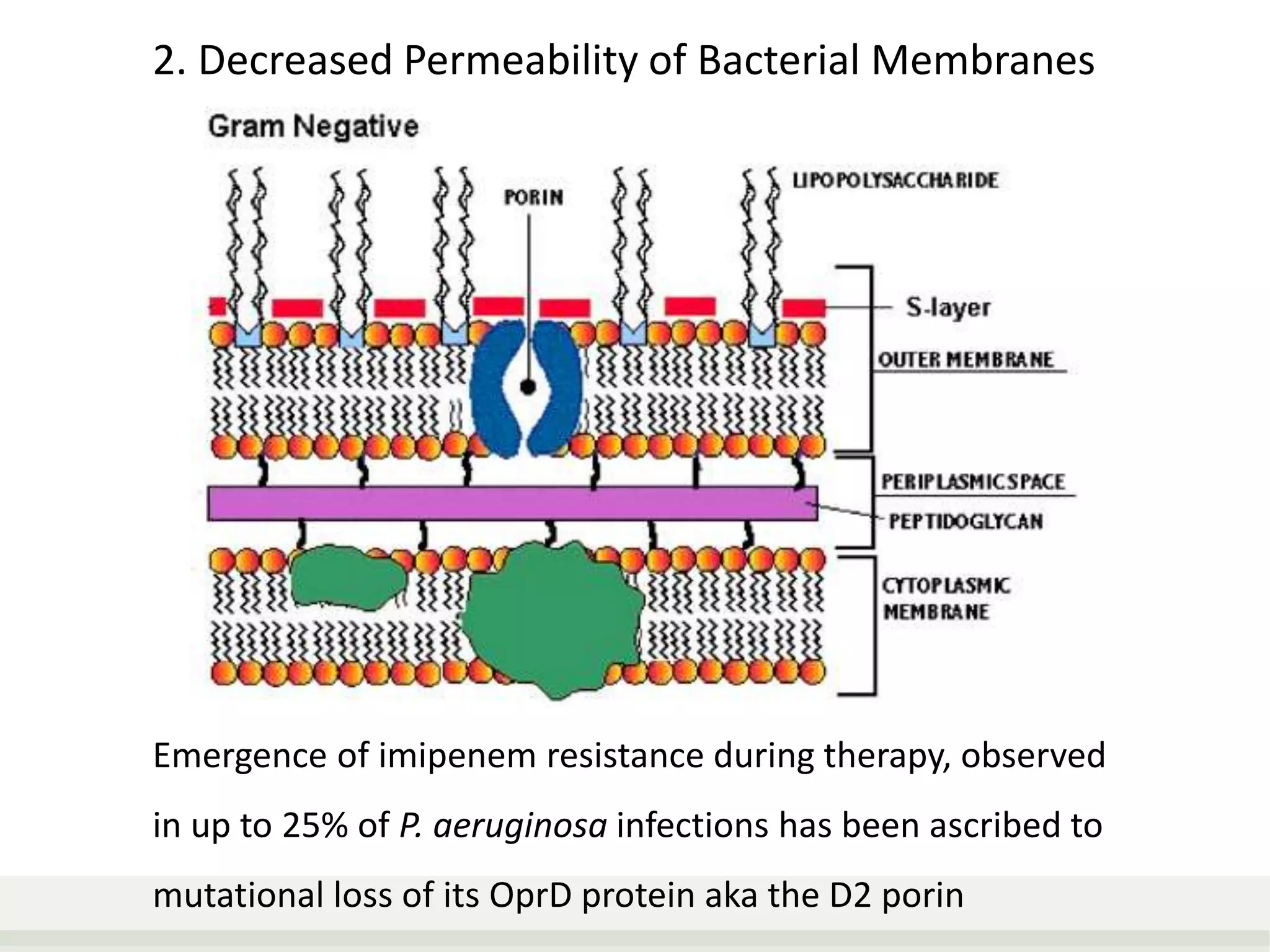 Antibiotic resistance | PPTX