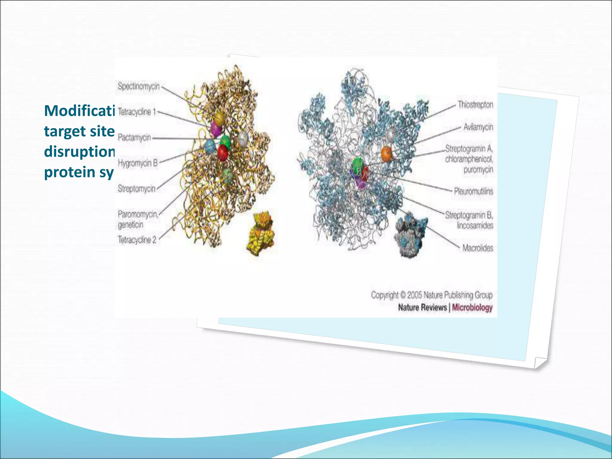 ANTIBIOTIC RESISTANCE.ppt