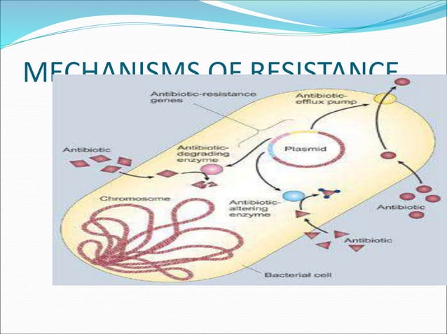 ANTIBIOTIC RESISTANCE.ppt | Chemistry | Science