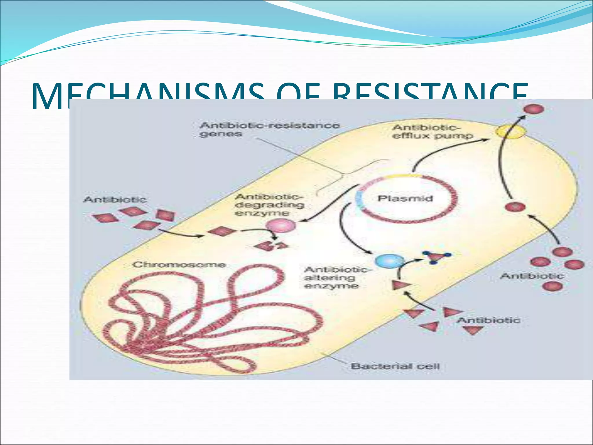 ANTIBIOTIC RESISTANCE.ppt