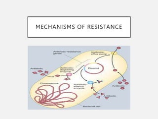 ANTIBIOTIC RESISTANCE.ppt