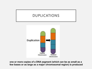 ANTIBIOTIC RESISTANCE.ppt