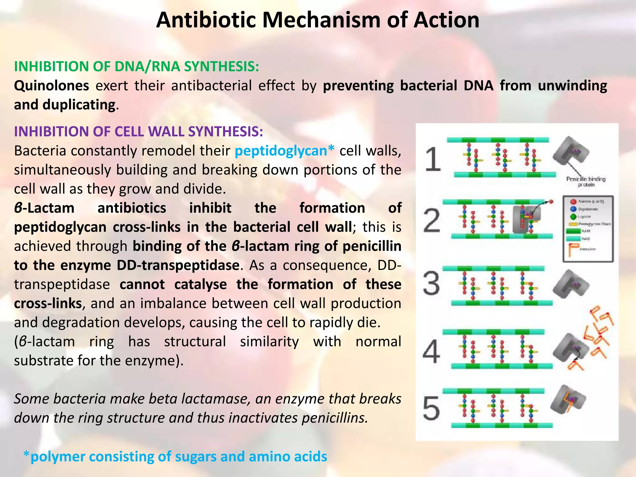 antibiotic resistance.pptx | Infectious Diseases | Diseases and Conditions