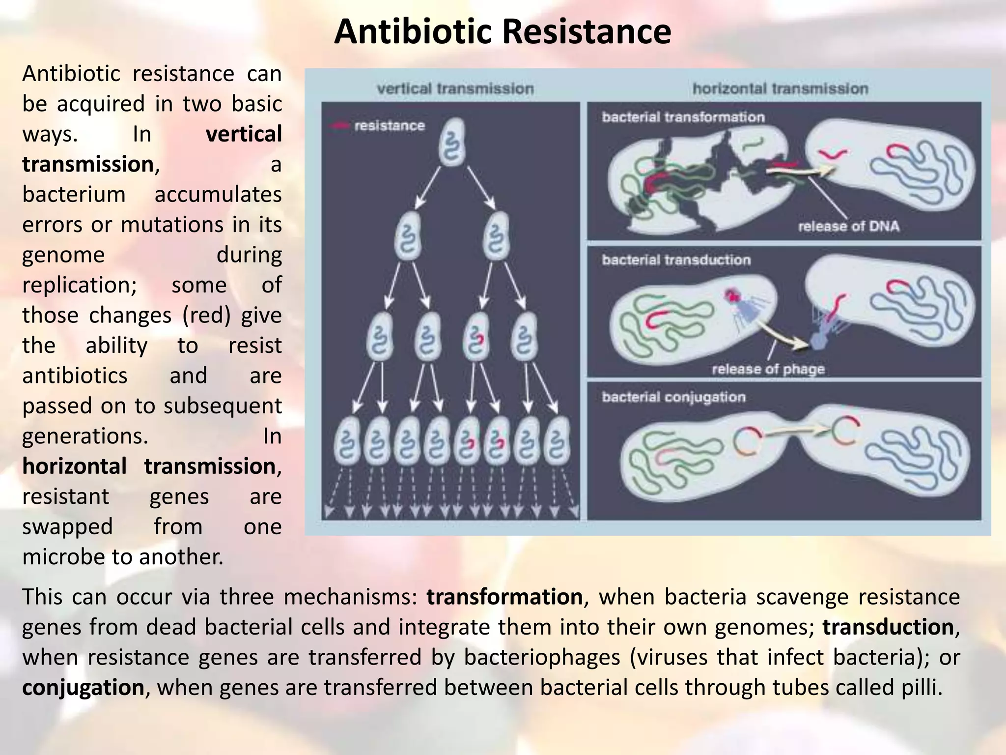 antibiotic resistance.pptx | Infectious Diseases | Diseases and Conditions