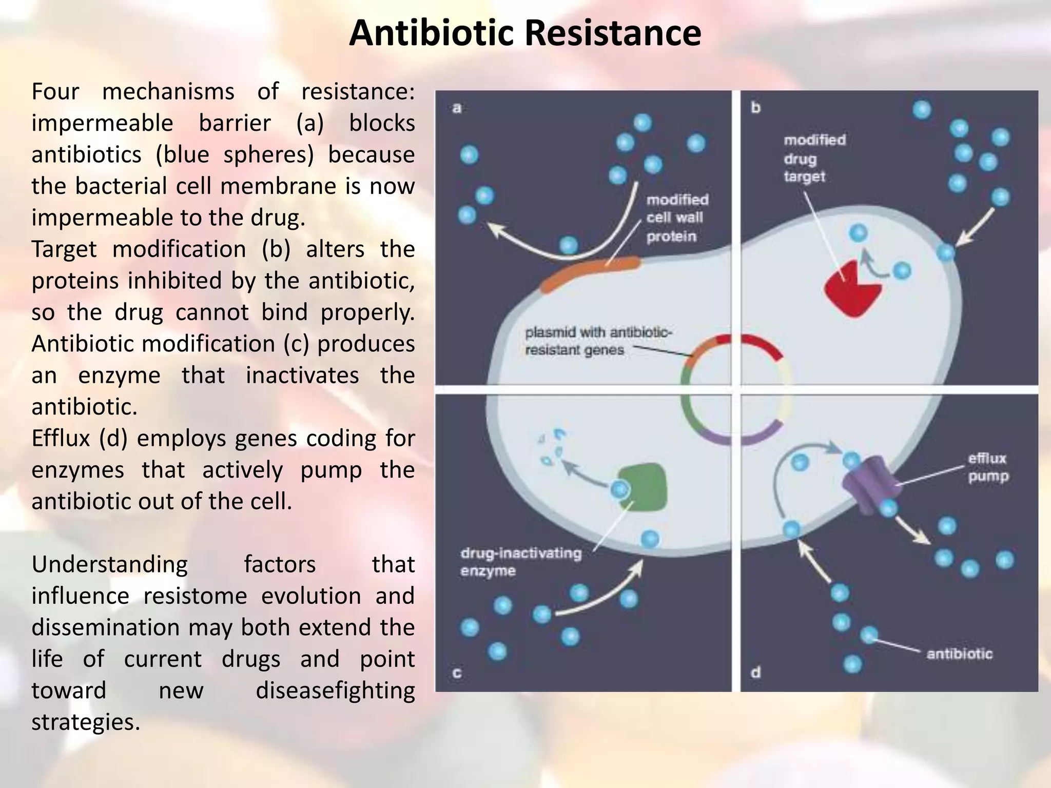 antibiotic resistance.pptx | Infectious Diseases | Diseases and Conditions