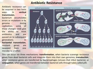 antibiotic resistance.pptx