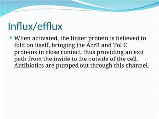 ANTIBIOTIC RESISTANCE IN MEDICAL FIELD.ppt