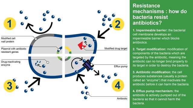 Combat Against Antibiotic Resistance.pptx