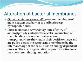 ANTIBIOTIC RESISTANCE (1).ppt