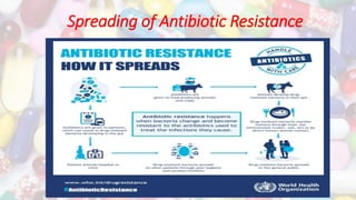 Antibiotic resistance | PPTX