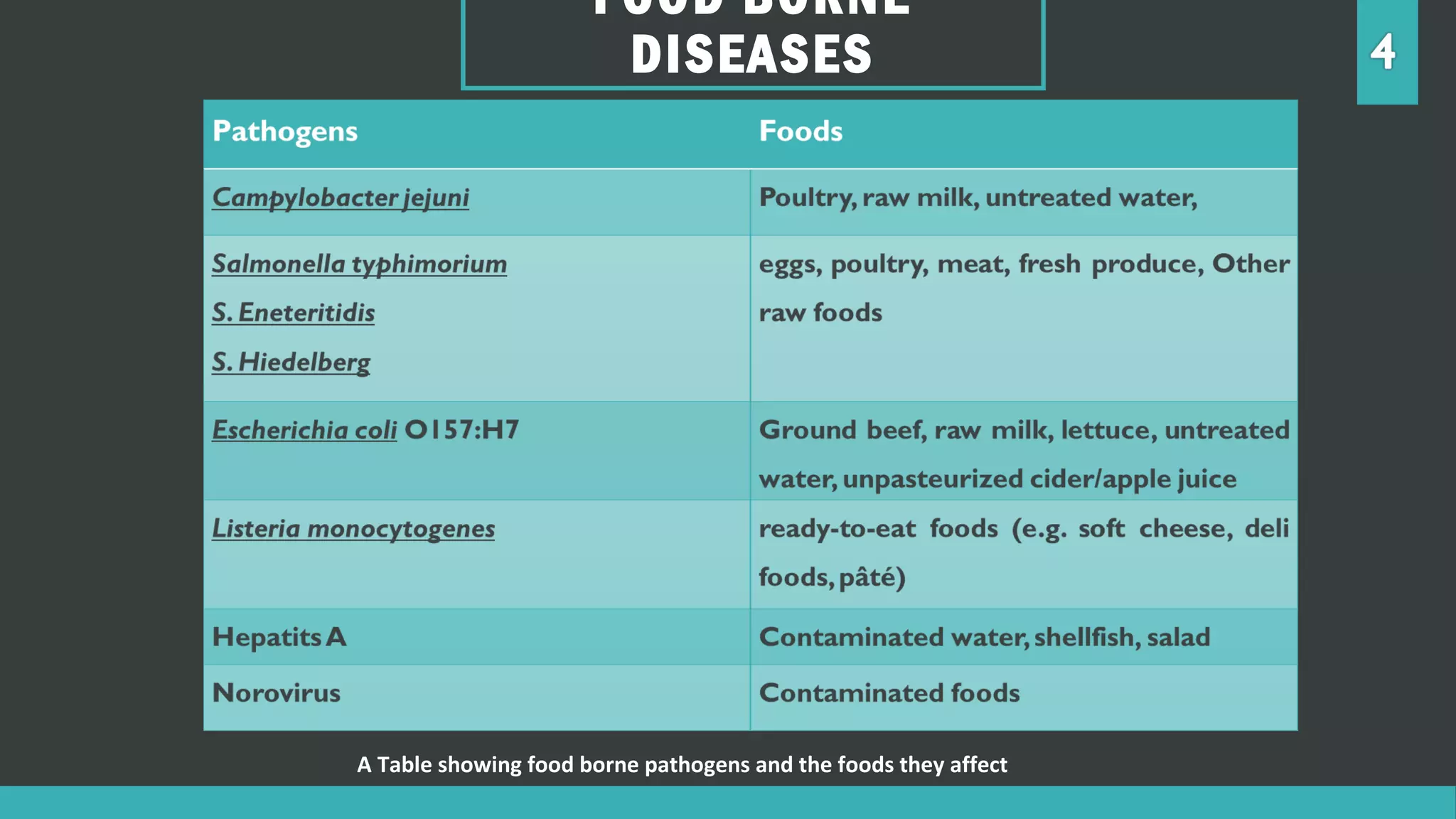 Antibiotic Resistance & Food Borne Diseases | PPT