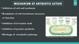 Antibiotic Resistance & Food Borne Diseases | PPT