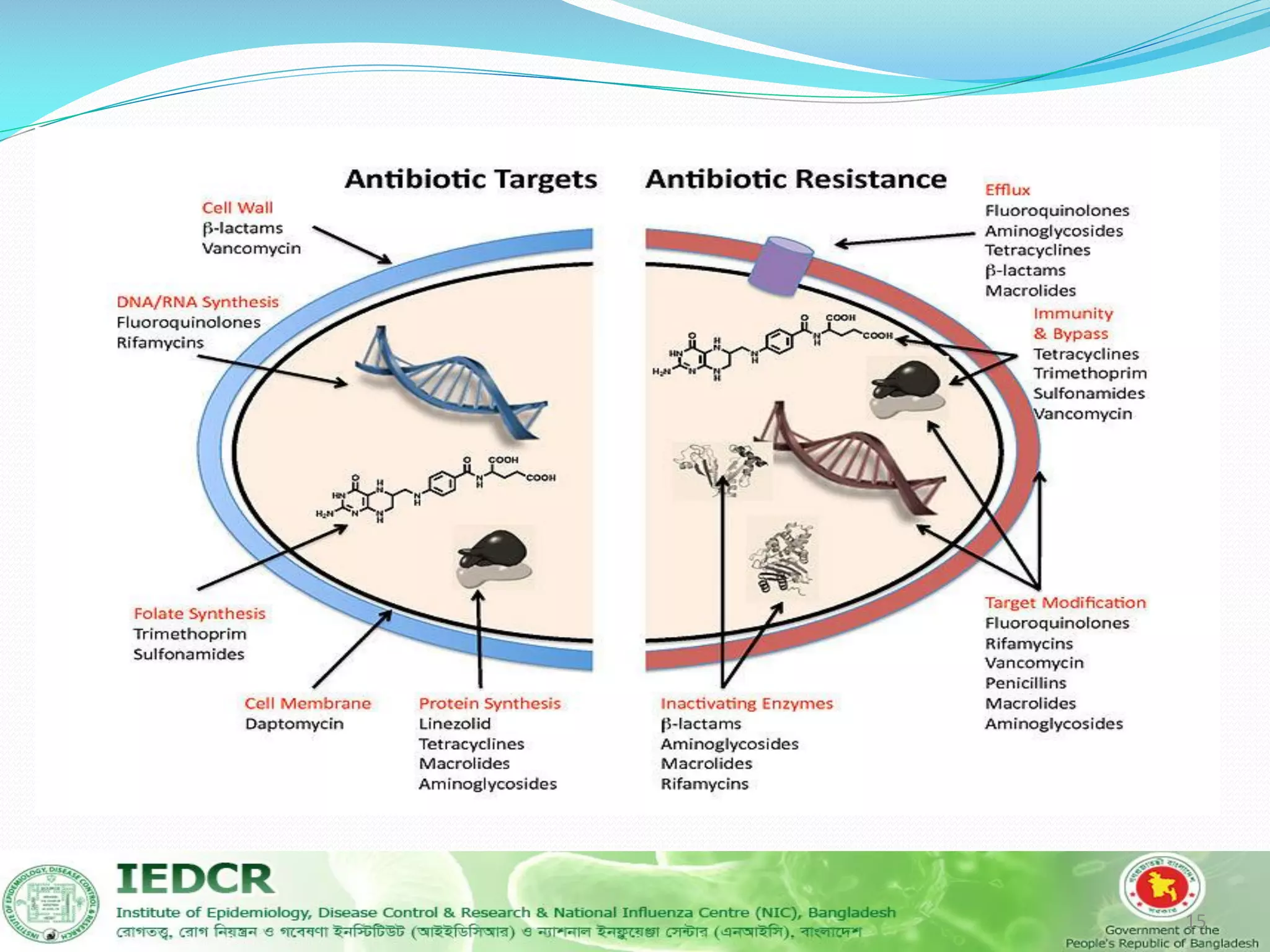 Antibiotic resistance: From a broader perspective | PPT