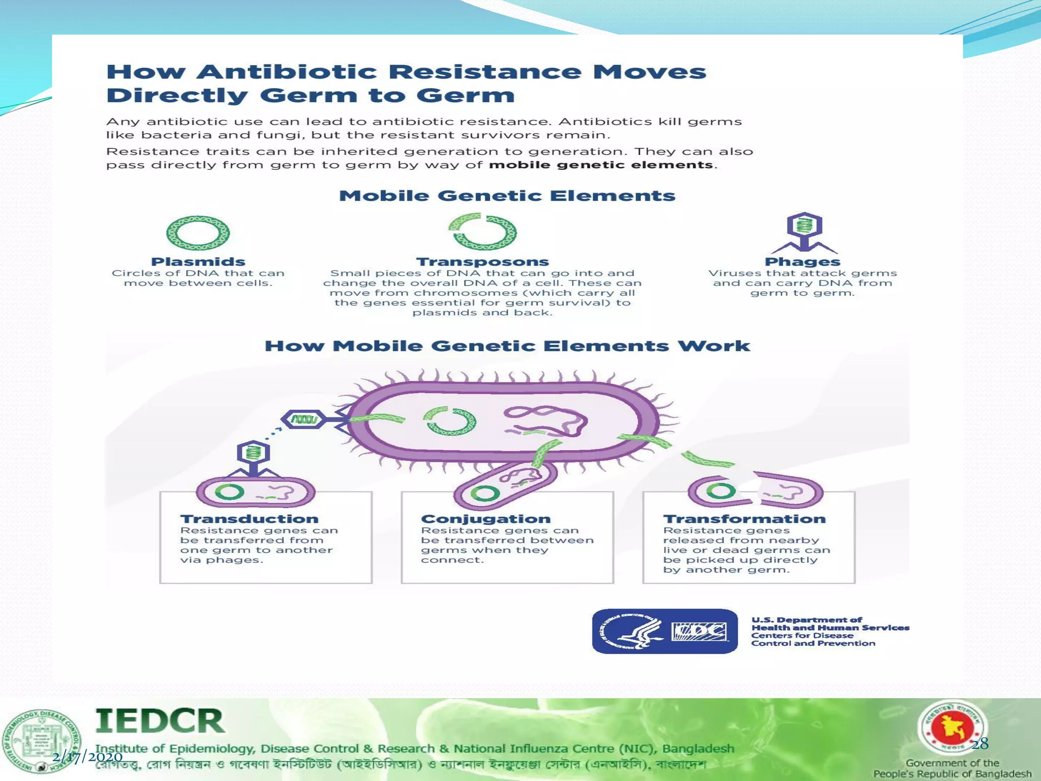 Antibiotic resistance: From a broader perspective | PPT