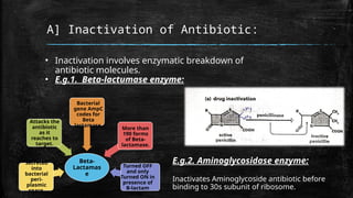 Antibiotic Resistance (karan) seminar.pptx