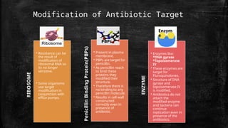 Antibiotic Resistance (karan) seminar.pptx