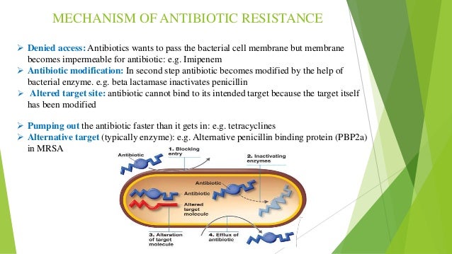 Mechanisms Of Antibiotic Resistance