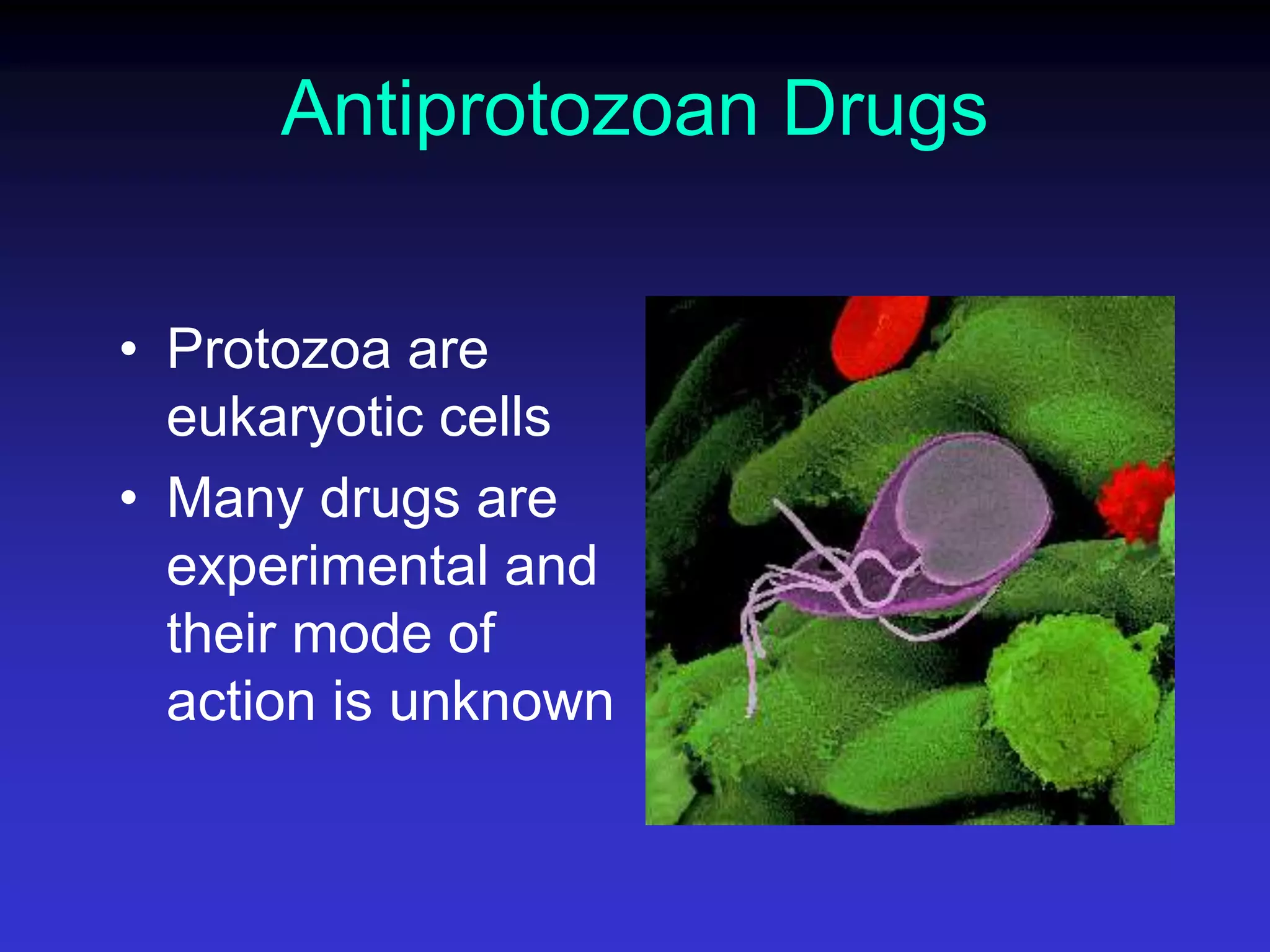 Antibioticresistance_powerpoint.ppt