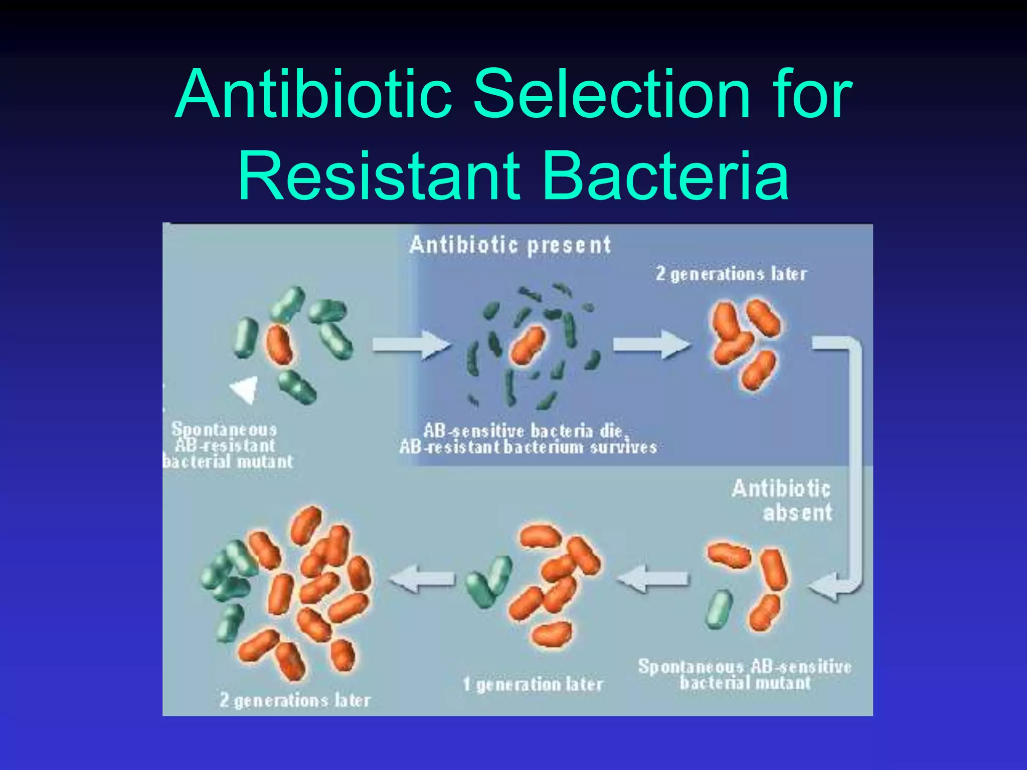 Antibioticresistance_powerpoint.ppt