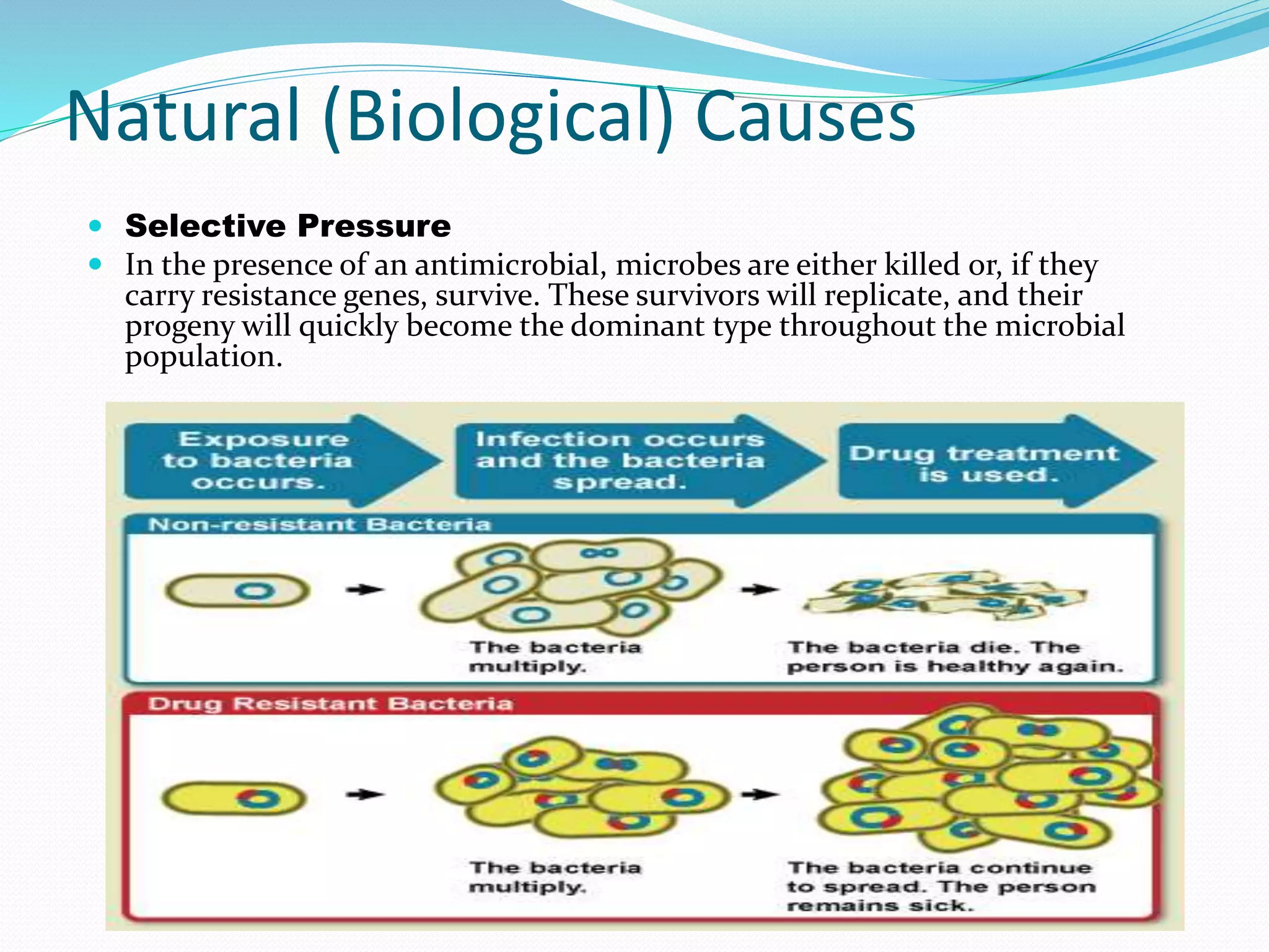 Antibiotic resistance slideshare (BY- RICHA KRISHNA)( M.PHARMACY) | PPTX