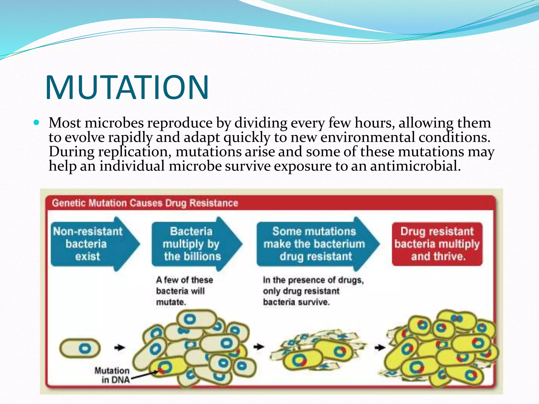 Antibiotic resistance slideshare (BY- RICHA KRISHNA)( M.PHARMACY) | PPTX