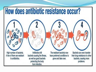 Antibiotic resistance slideshare (BY- RICHA KRISHNA)( M.PHARMACY) | PPTX