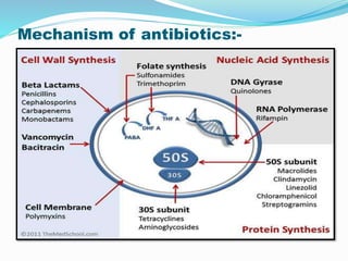 Antibiotic resistance slideshare (BY- RICHA KRISHNA)( M.PHARMACY) | PPTX