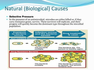 Antibiotic resistance slideshare (BY- RICHA KRISHNA)( M.PHARMACY) | PPTX