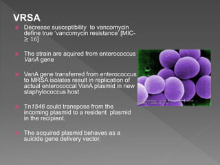 ANTIBIOTIC RESISTANCE STAPH.pptx for education | PPTX