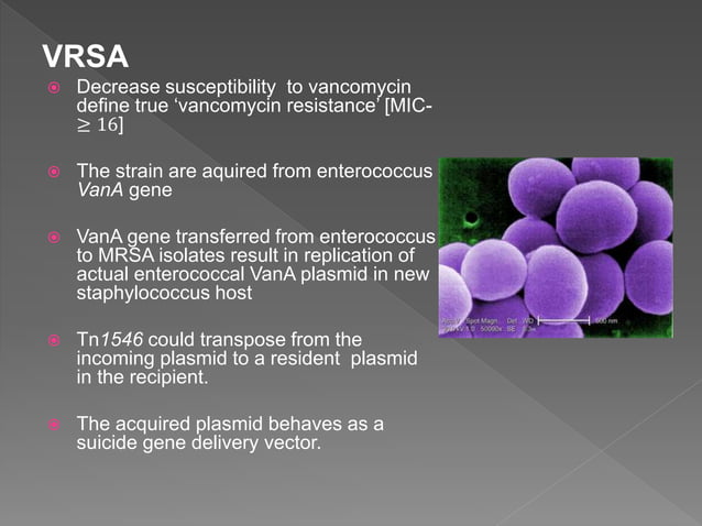 ANTIBIOTIC RESISTANCE STAPH.pptx for education | PPTX | Infectious Diseases | Diseases and ...