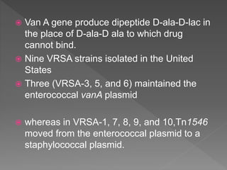 ANTIBIOTIC RESISTANCE STAPH.pptx for education | PPTX
