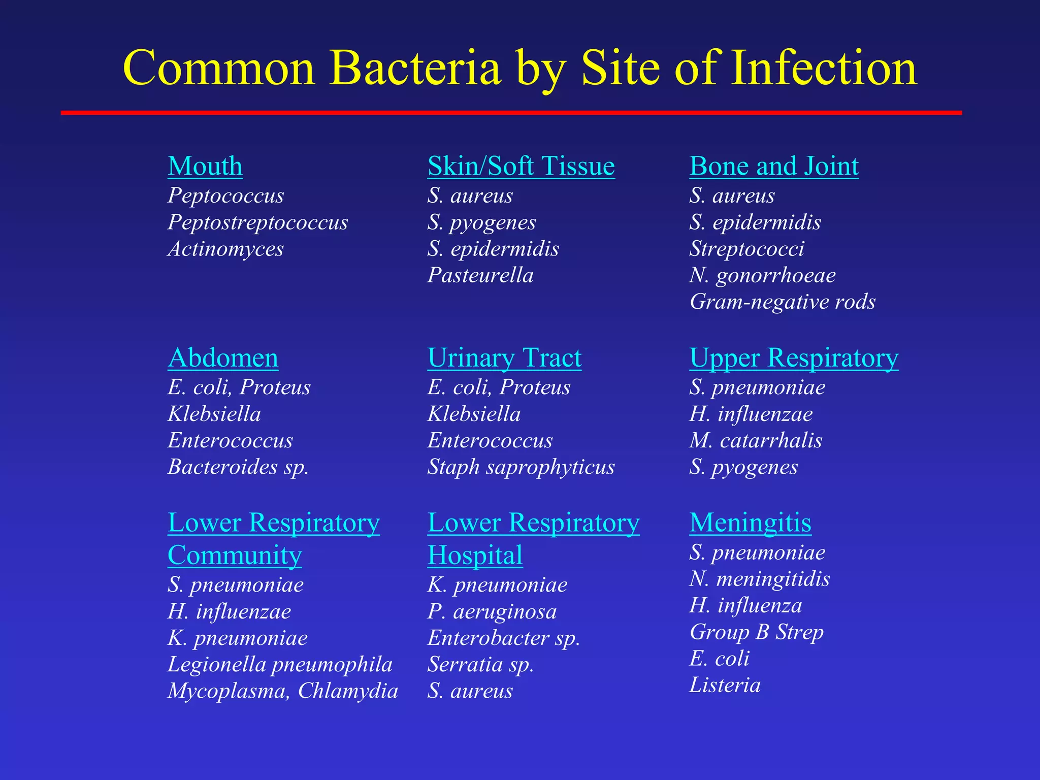 Antibioticreview | PPT