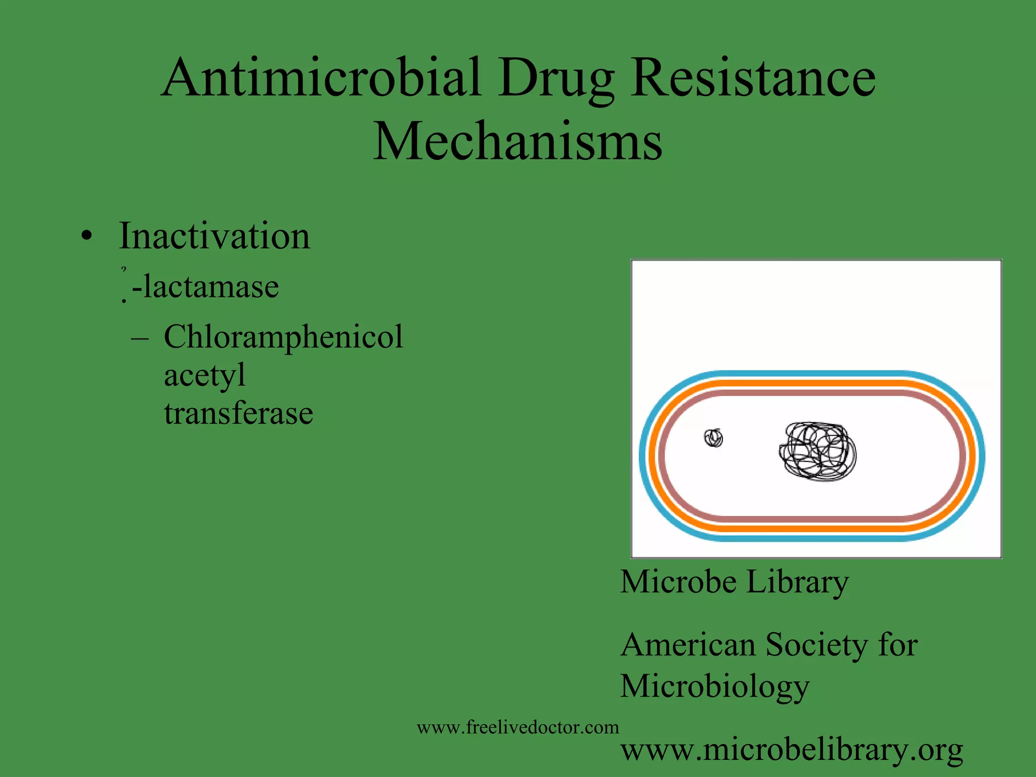 Antibiotics | PPT