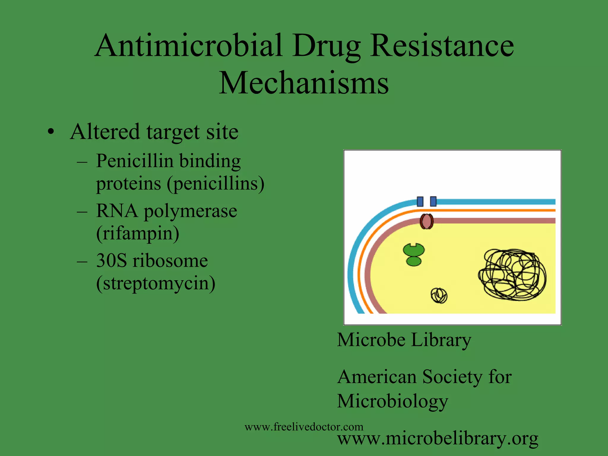 Antibiotics | PPT