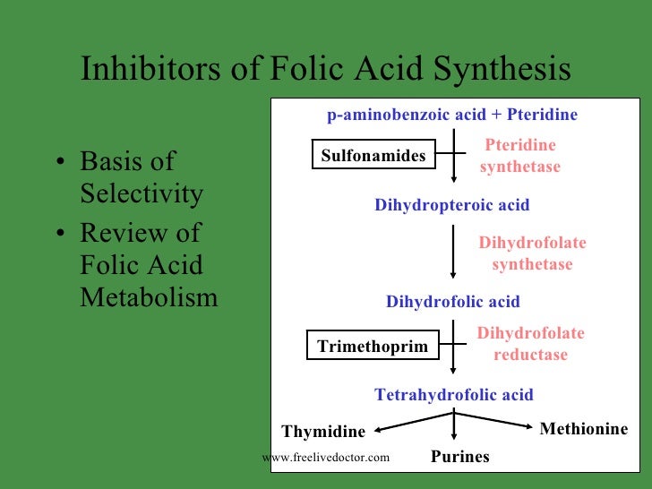 Folic Acid Pathway In Bacteria
