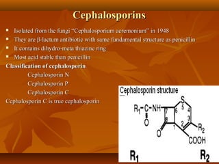 Antibiotics | PPT
