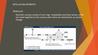 Antibiotics | PPT