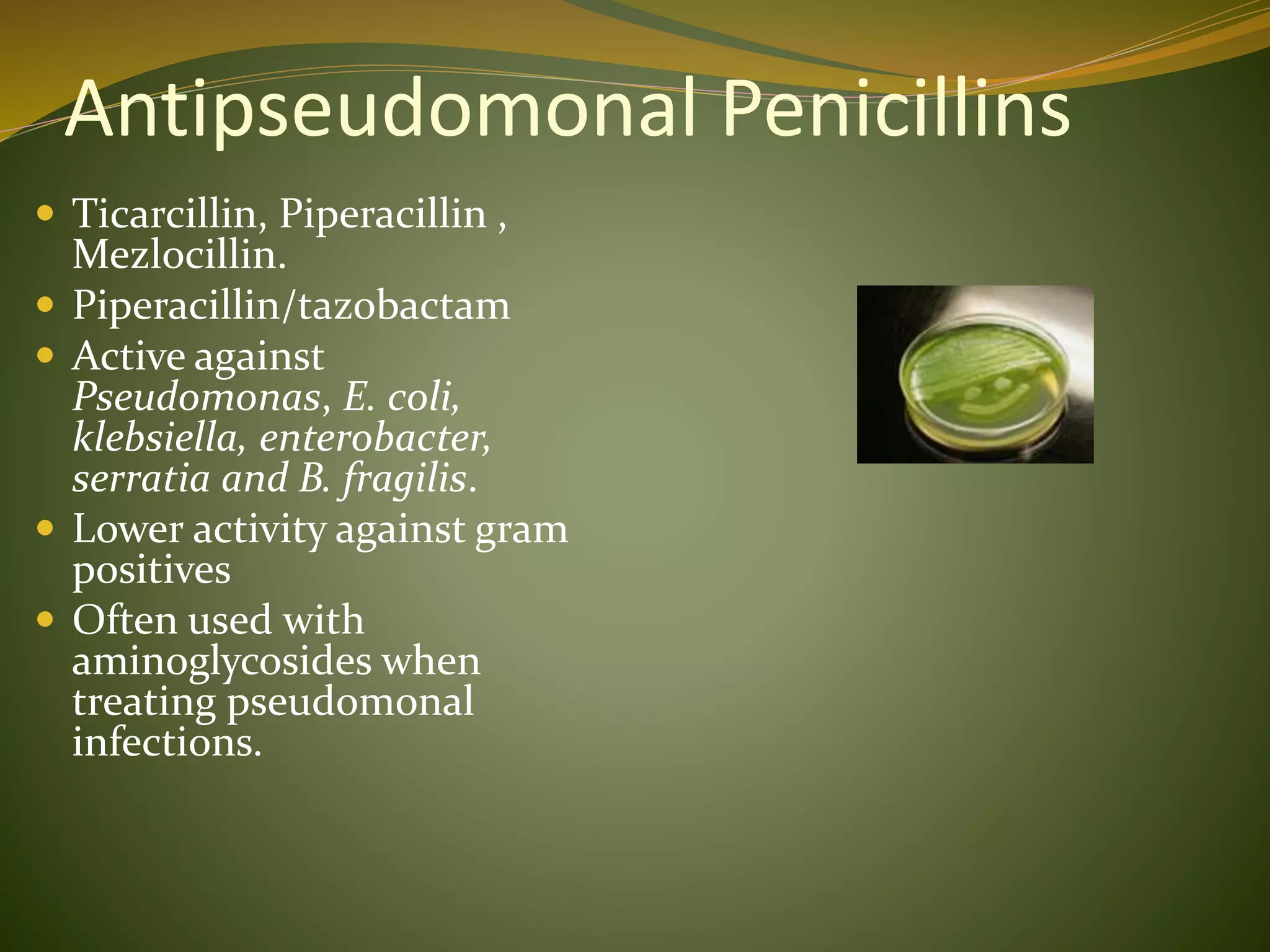 Antibiotics | PPTX