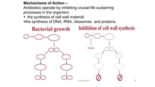 Antibiotics | PPTX