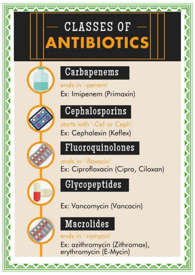 Antibiotics | PDF