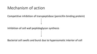 Antibiotics- penicillin | PPTX