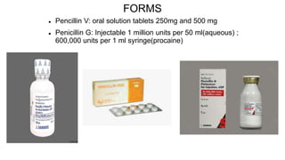 Antibiotics- penicillin | PPTX