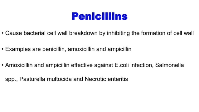 Antibiotics in Poultry | PPSX
